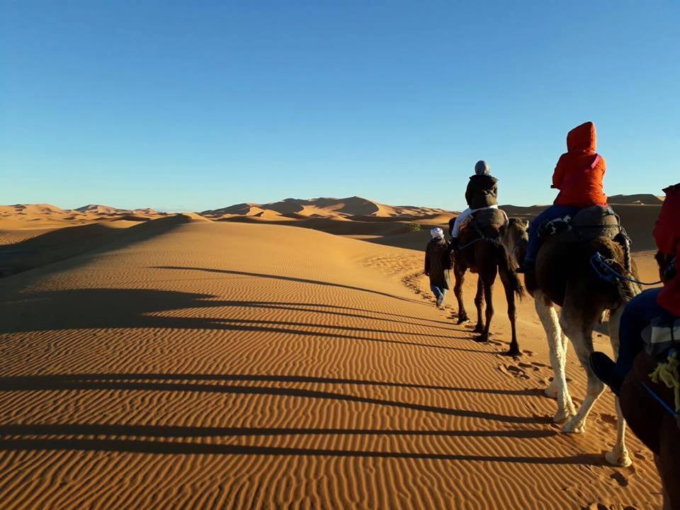 LEAD TRAVEL – Leading Agency For Muslim Friendly Tours